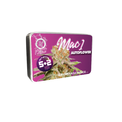 MAC1 Autoflower