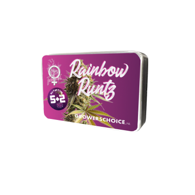 Rainbow runtz feminized cannabis seeds that make a tropical dream come ...